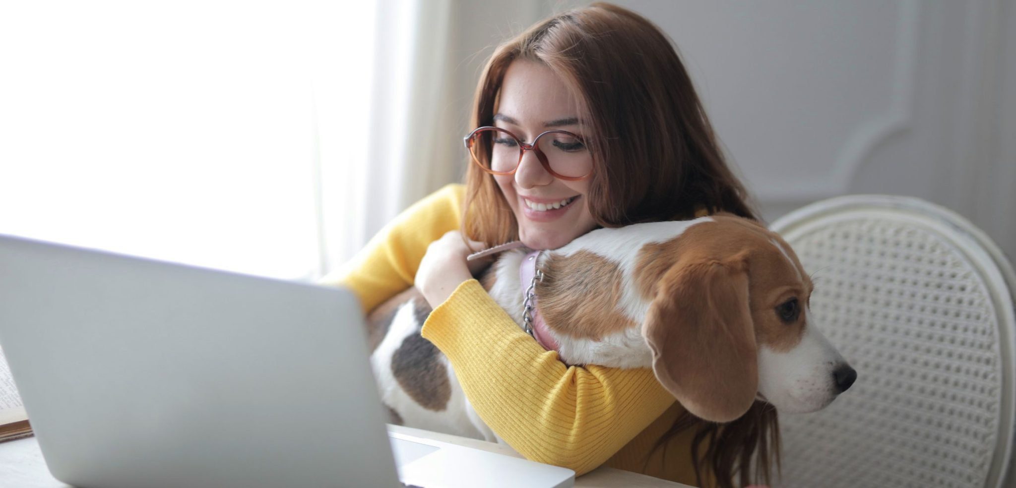 STARTING YOUR PET BUSINESS JOURNEY - PetProClub