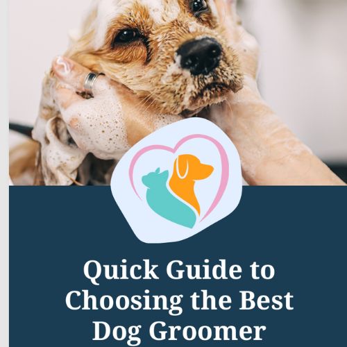 Choosing the Right Dog Groomer - Your 10 Point Checklist Choosing the Right Dog Groomer - Your 10 Point Checklist